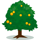 Handmade Door Knobs & Handles – Artist Collection | Mango Tree Knobs